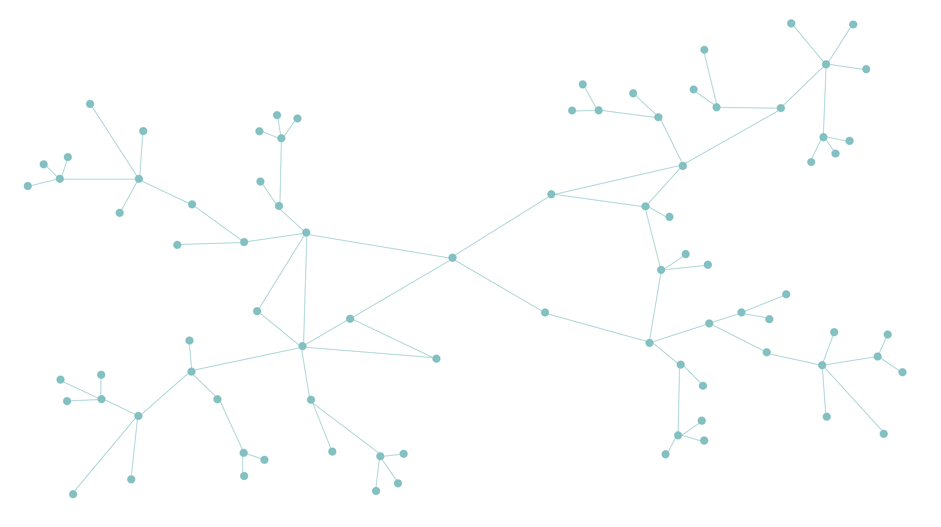 network_v2 | Whale Wise