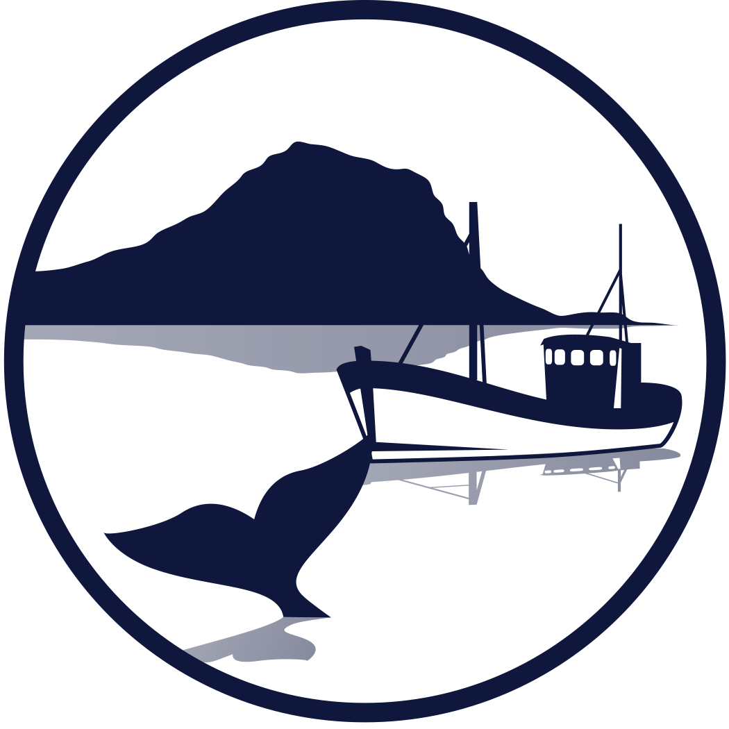 Whale Wise | UK marine mammal conservation charity
