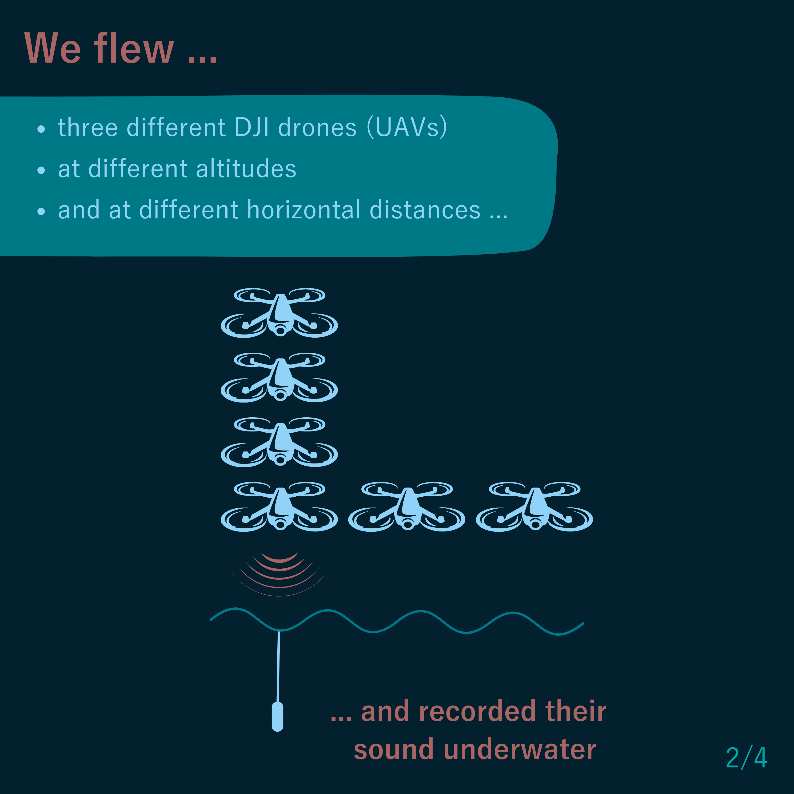 Publication quick summaries | Whale Wise