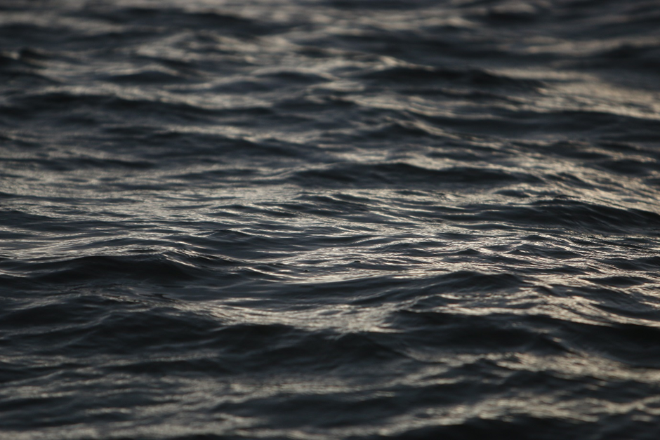 A noisy, dusty abyss: deep-sea mining, whales and beyond | Whale Wise