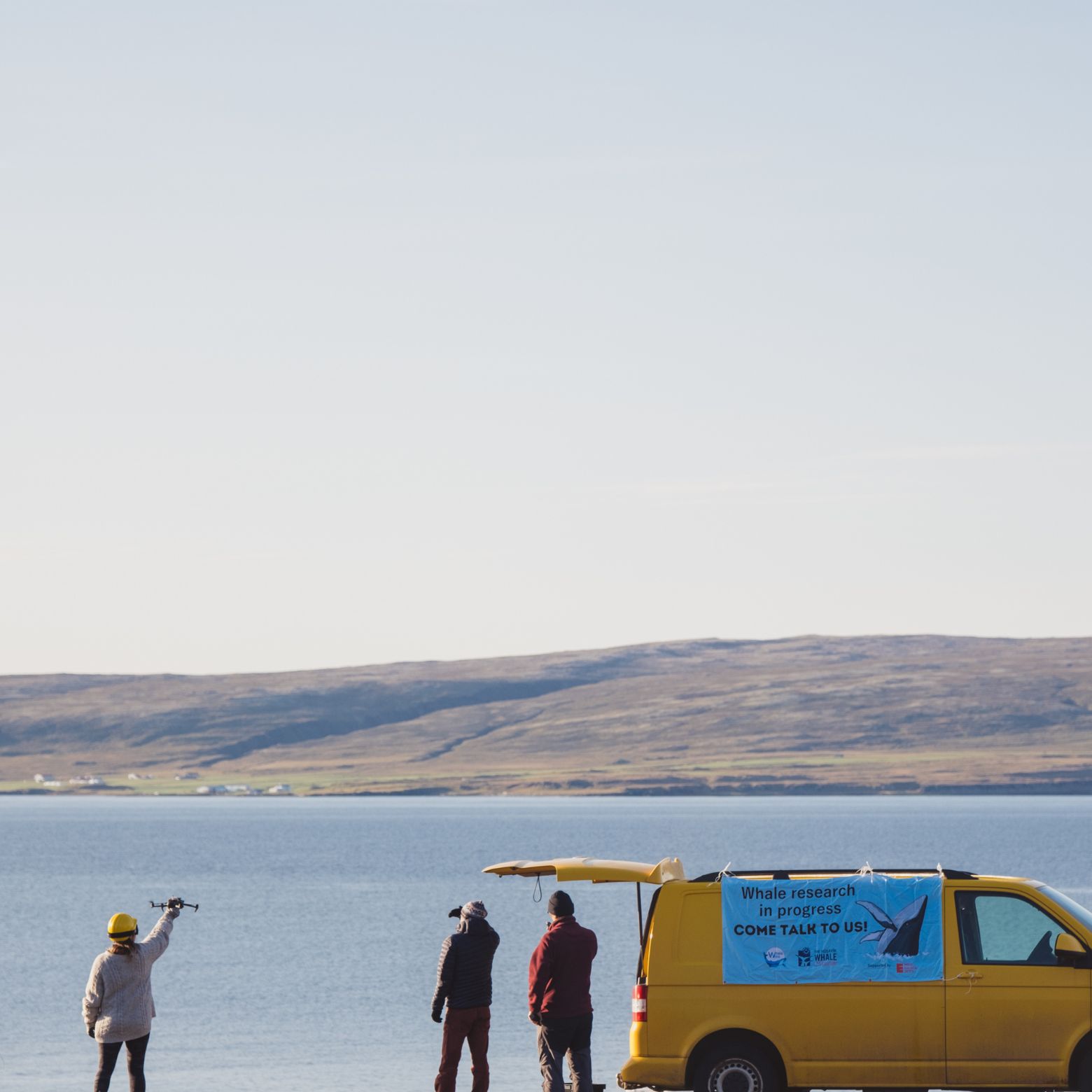 ABOUT US | Whale Wise